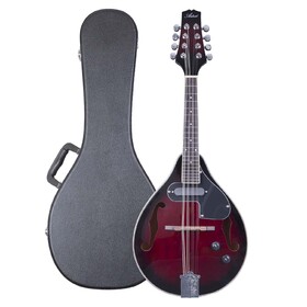 Artist Guitars | New Zealand's Favourite Online Guitar Store